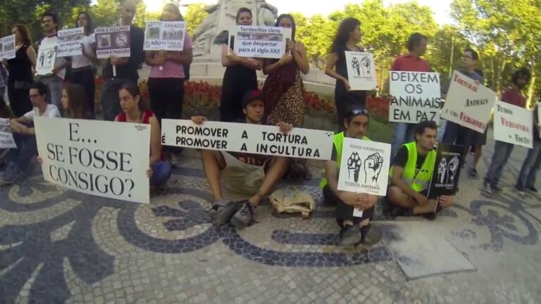 Visita à Embaixada Espanhola em Lisboa: O Que Saber | Actualizado abril ...